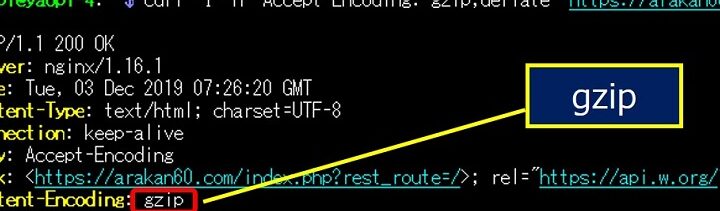 Nginxでgzip圧縮を有効化！Webページ表示速度アップ